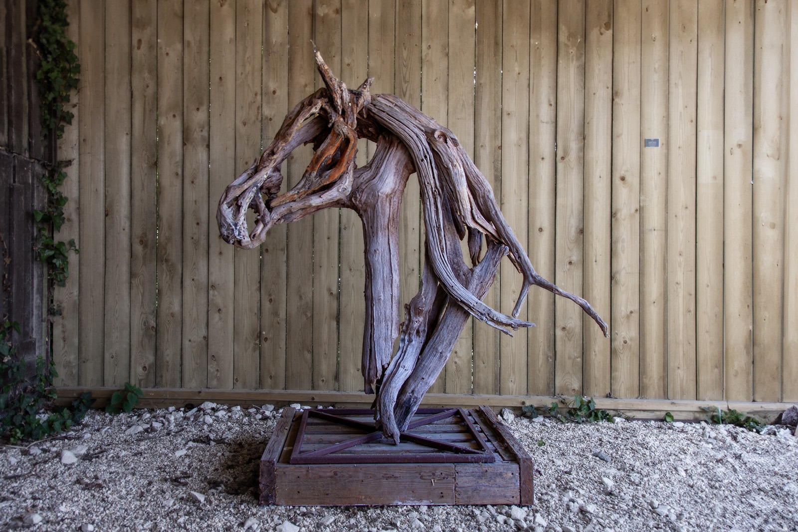 Driftwood Hero - Heather Jansch