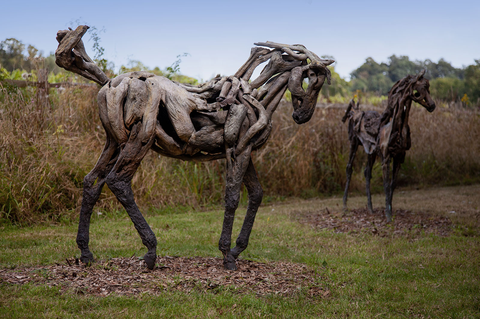 Dylan - Heather Jansch