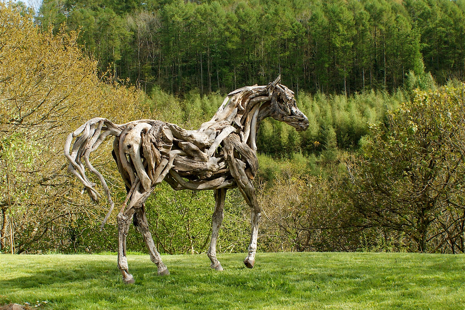 The Eden Horse - Heather Jansch